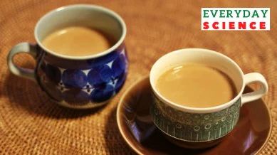 Why a Chemistry professor suggested adding salt to tea for the perfect ...