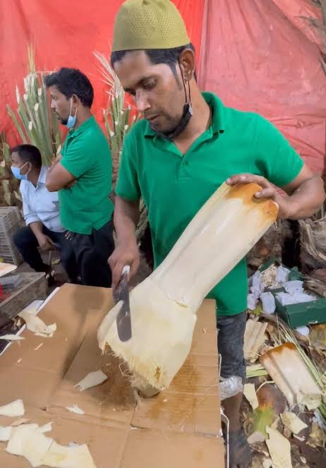 The Incredible Palm Tree Cheese at Fujairah Friday Market, UAE! - NEWS NEST