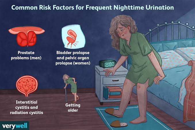 Why Do You Keep Waking Up at Night to Pee? Understanding Nocturia ...