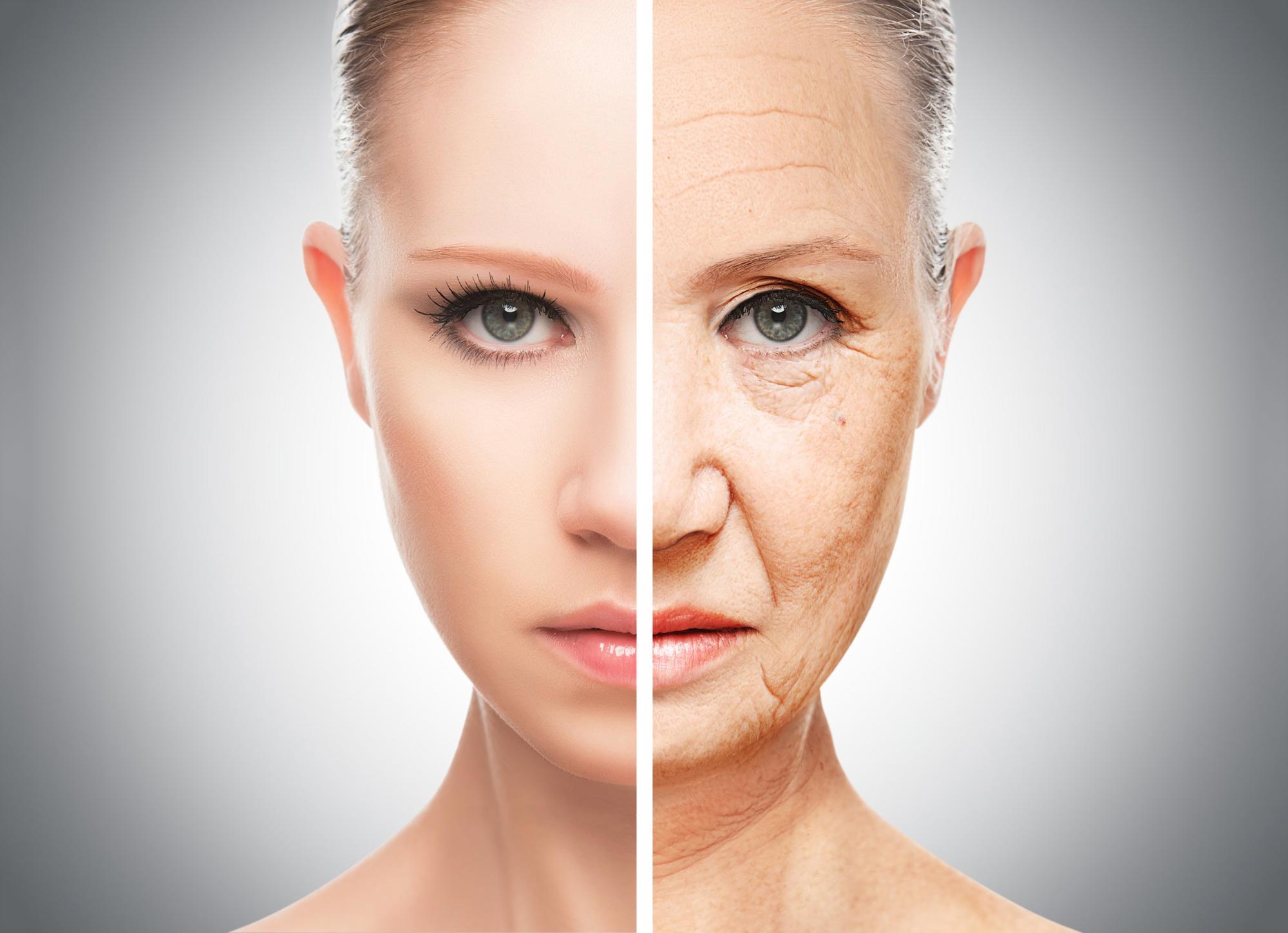 Scientists Are Closer Than Ever To Reverse Aging. How Does It Work ...