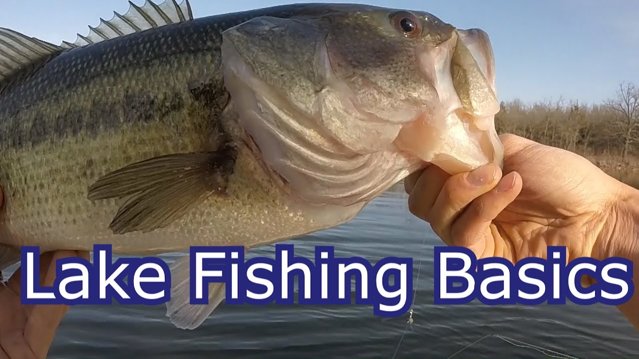 How to Start Fishing Any Lake: A Beginner’s Guide to Tips and ...