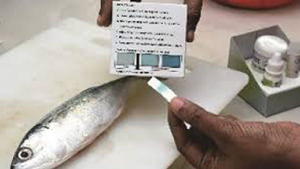 Meghalaya Orders Mandatory Testing of Fish Imported from Assam Amid ...