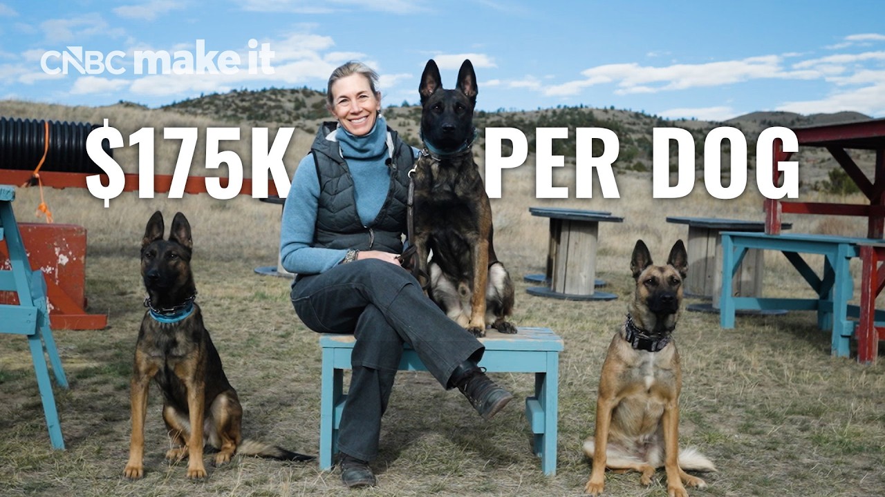 I Sell Protection Dogs For $175K In Montana - NEWS NEST