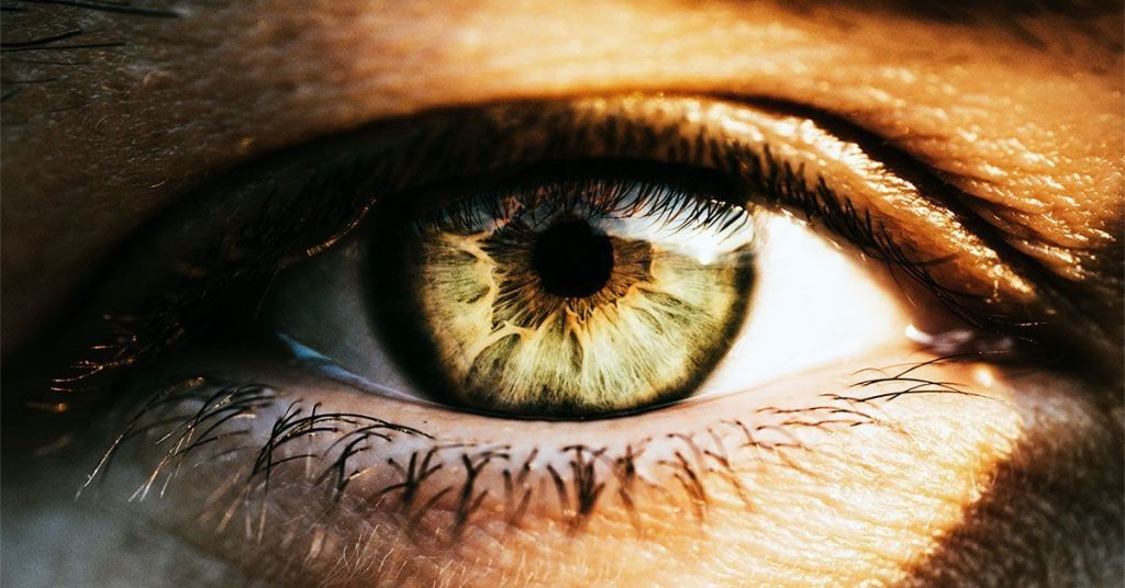 Wegovy Linked to Rare “Eye Stroke” That Can Cause Sudden Blindness ...